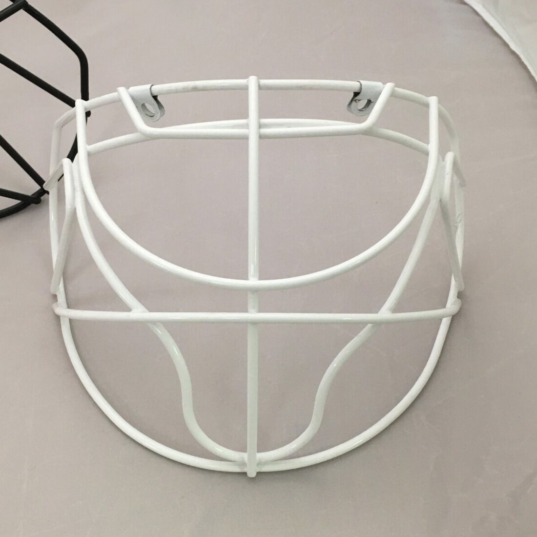 Hasek cage | Warwick Mask